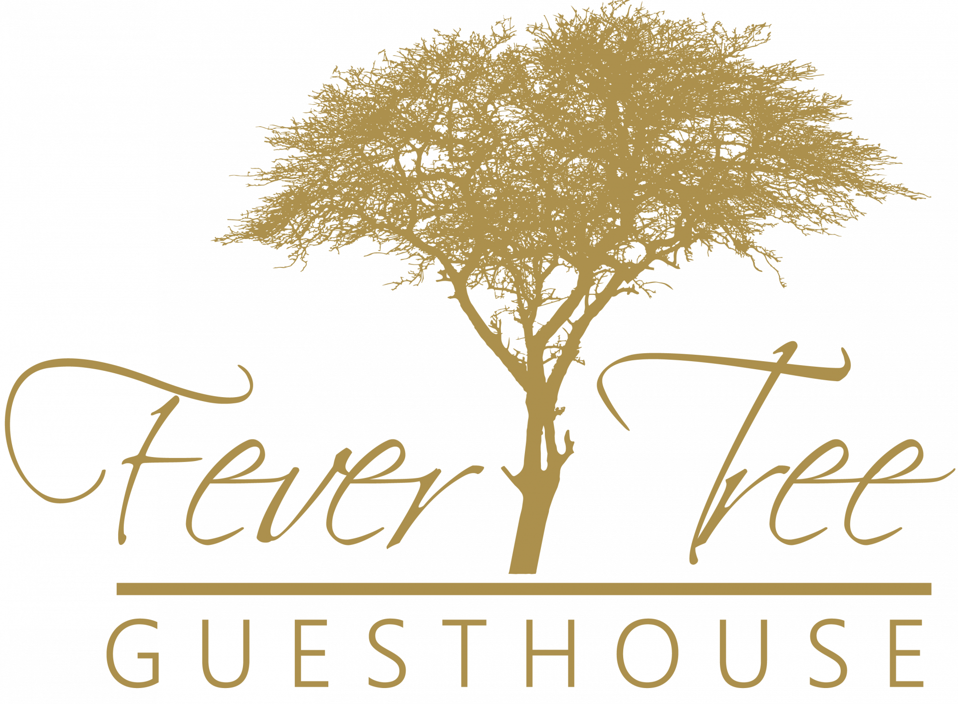 Rugby: Kearsney Easter Festival Launch 2025 - SA School Sports