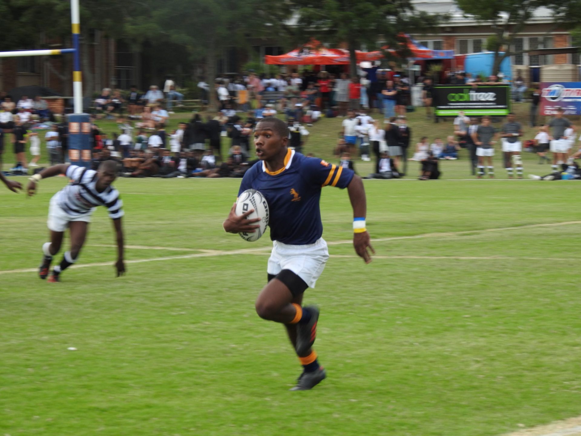 Rugby: Graeme College Rugby Day wrap up - SA School Sports