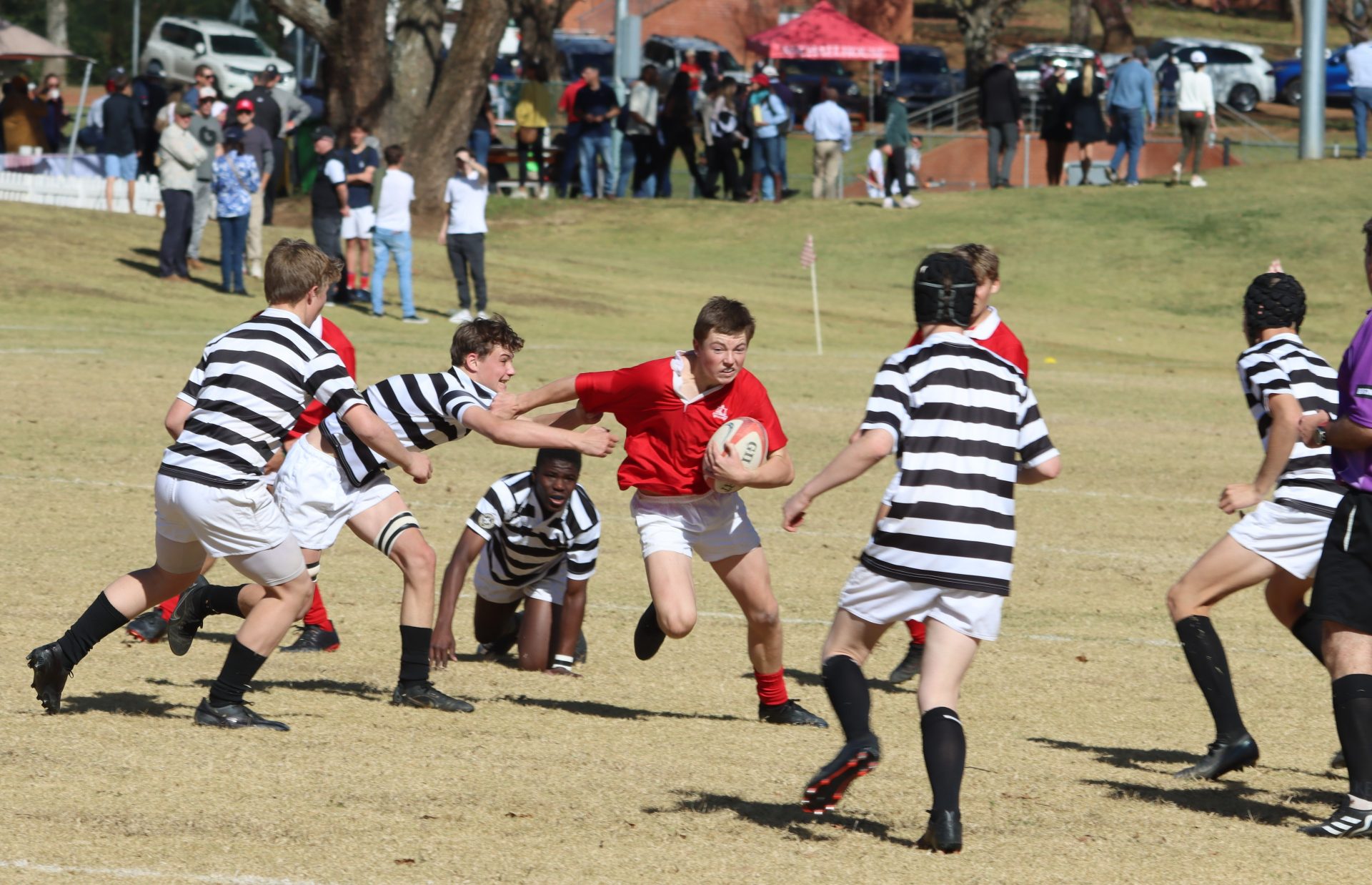 Sports Report: Michaelhouse vs Hilton - SA School Sports