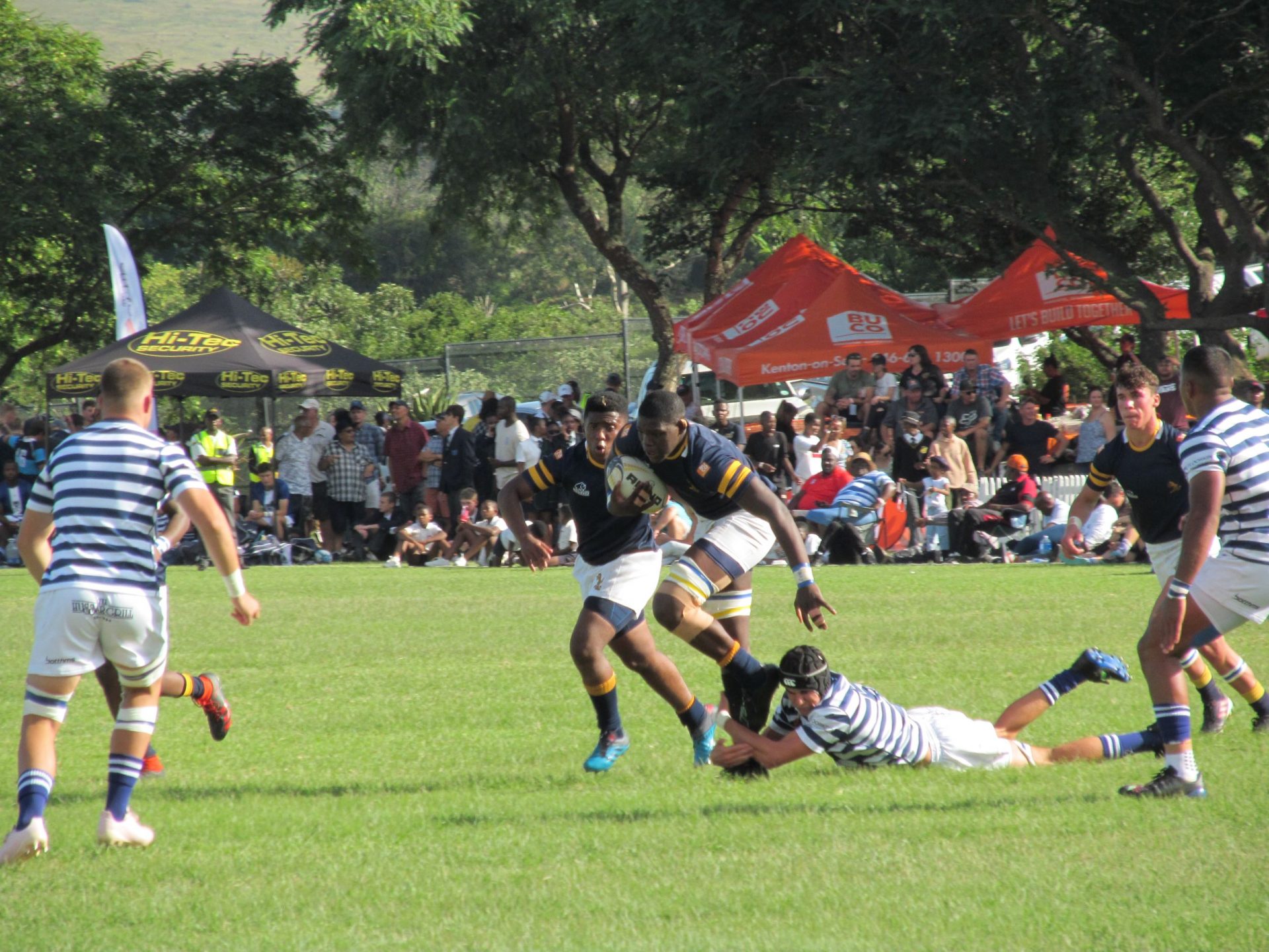 Rugby: Graeme College tweak festival format - SA School Sports