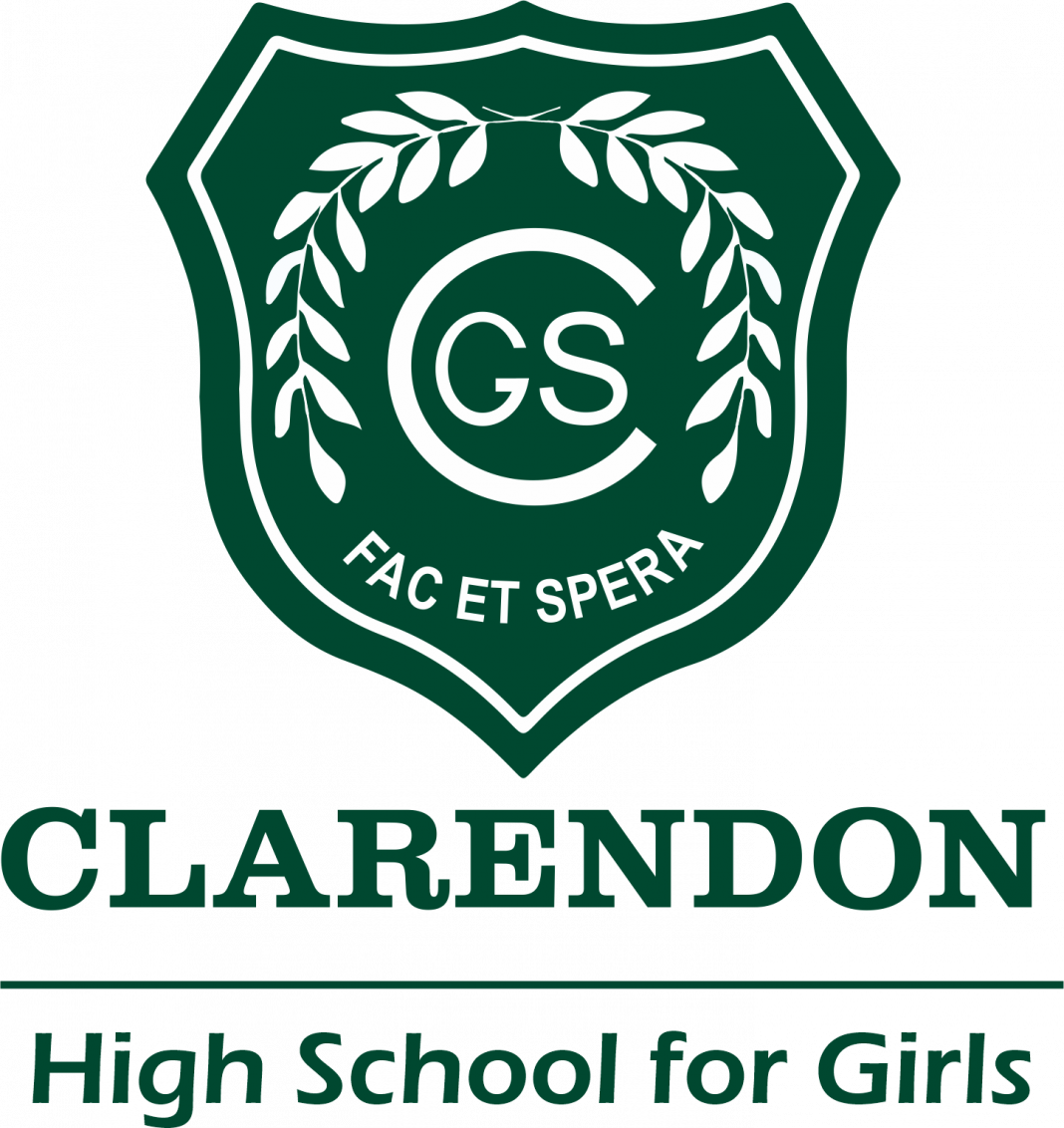 Clarendon Girls High year of sporting excellence - SA School Sports