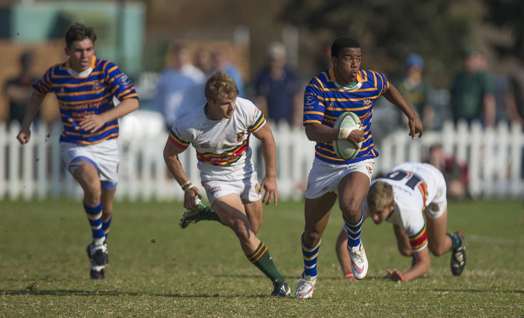 Rugby: Waterkloof vs Affies Historic Overview - SA School Sports