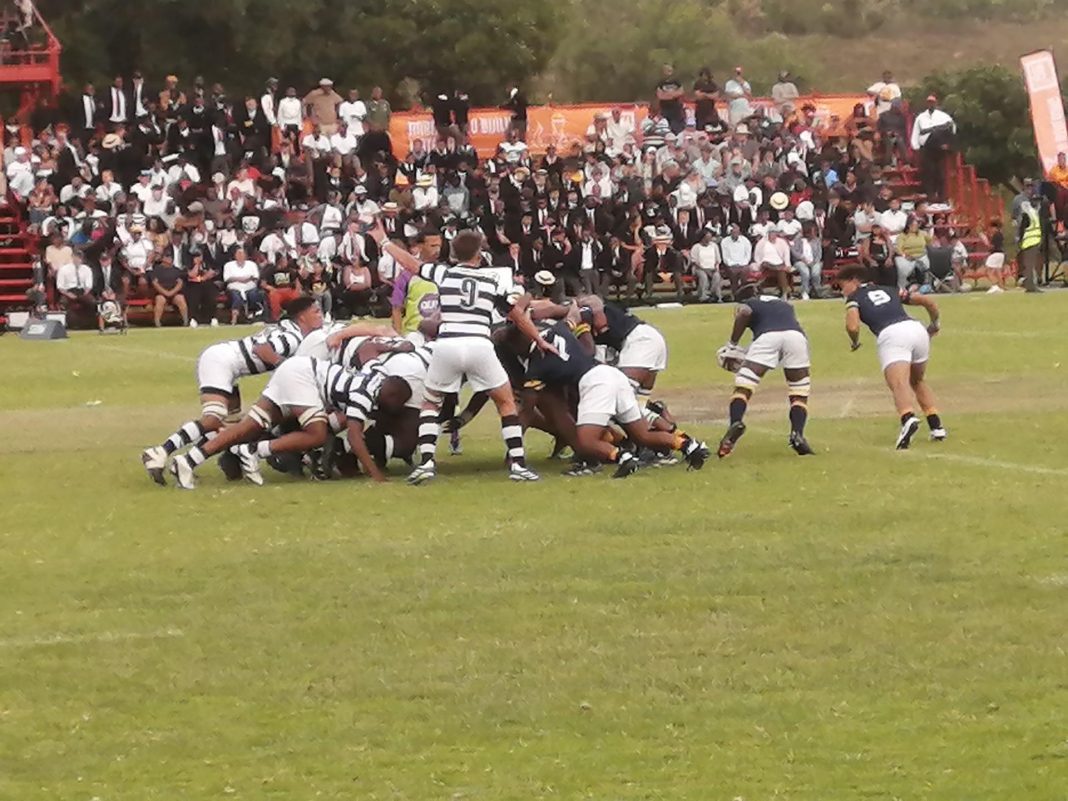 Graeme College Rugby festival 2025 - SA School Sports
